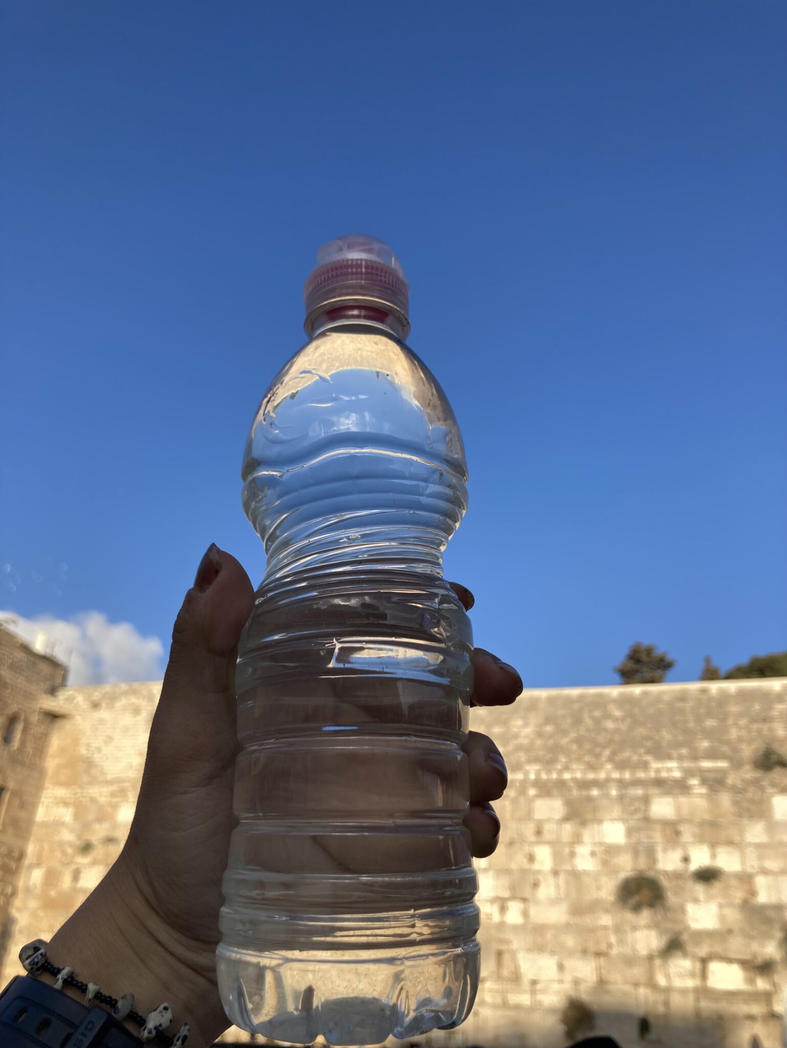 Water Drawing / Rituals of Return: A Pilgrimage for Sukkot - Berkeley ...
